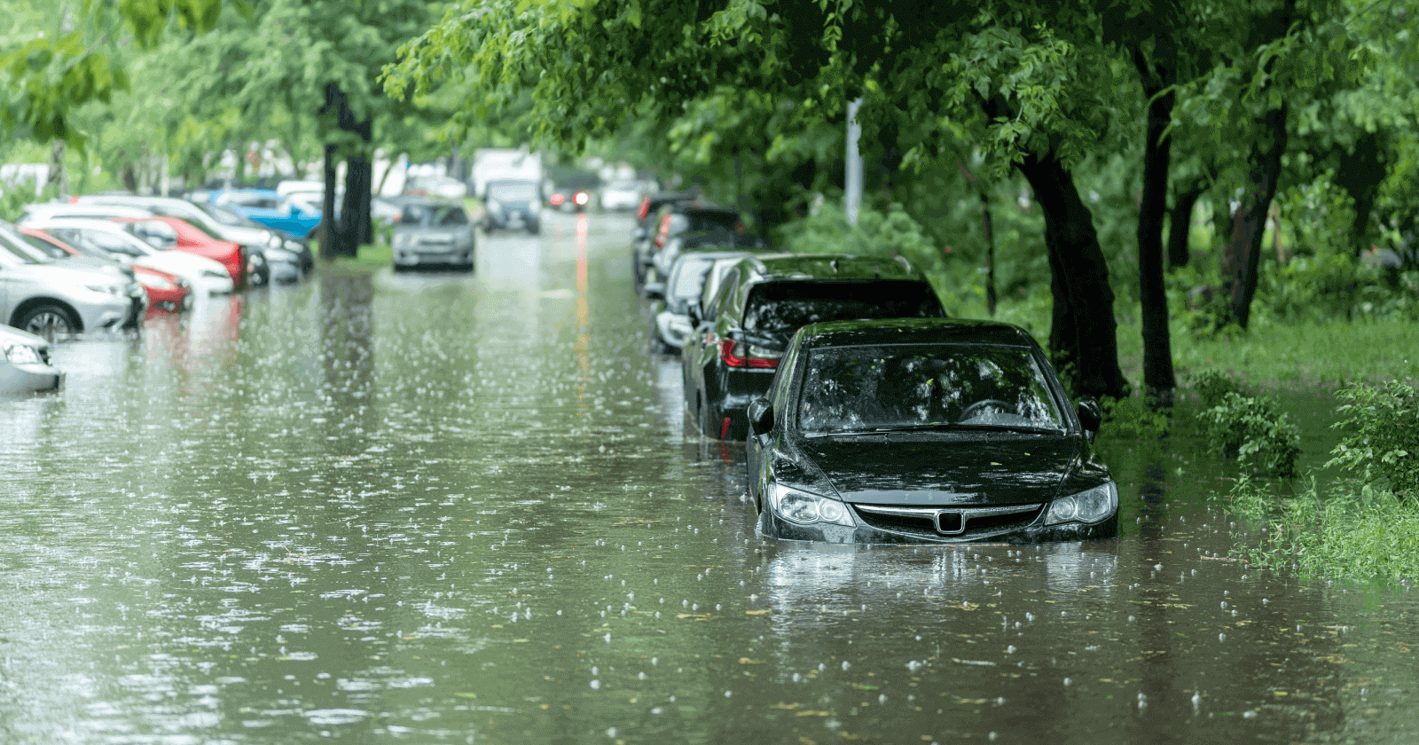 How to Spot a Flood-Damaged Car Using a Vehicle History Report | The ...